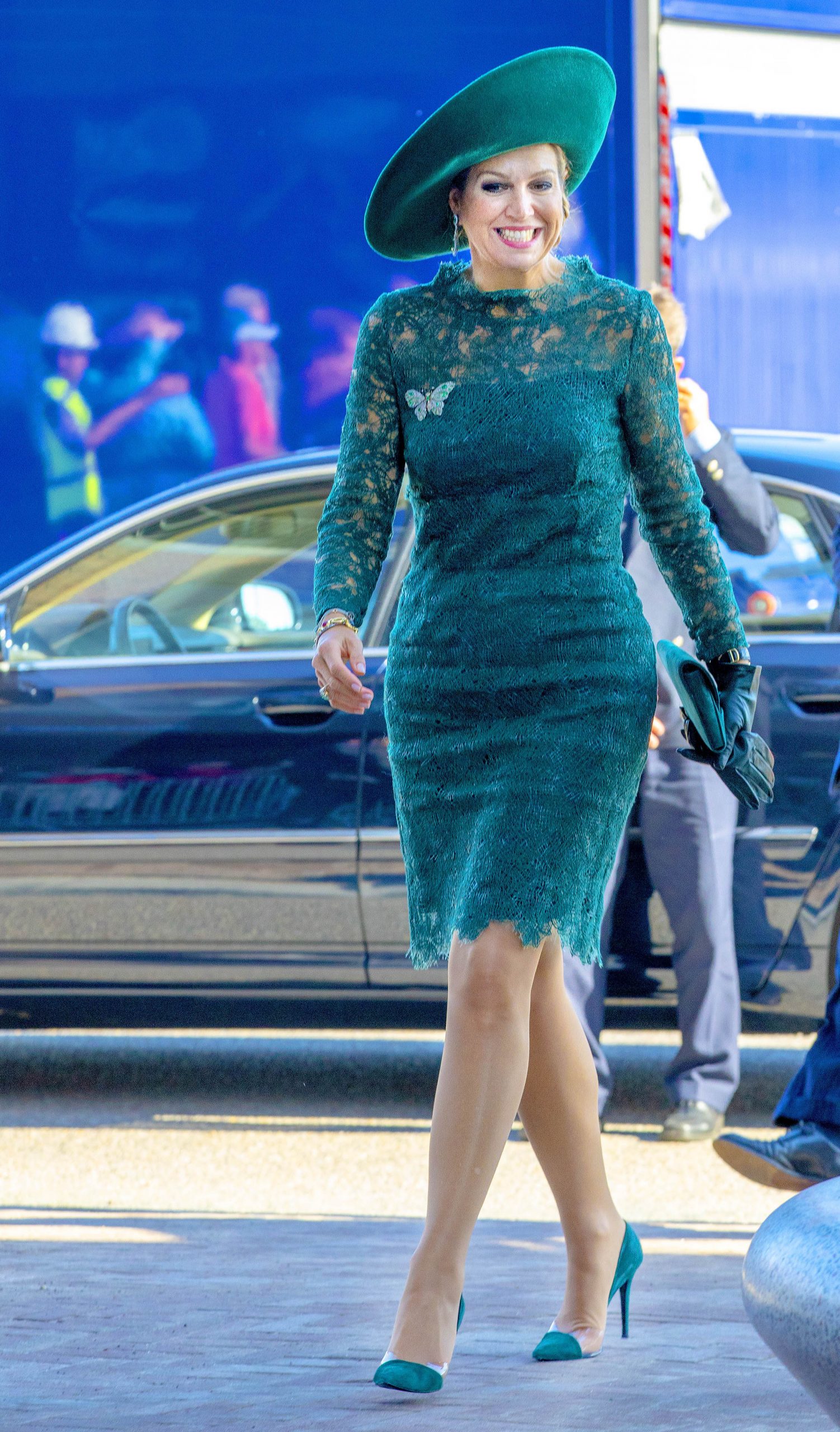 Japon van spinnenragkant - Modekoningin Máxima