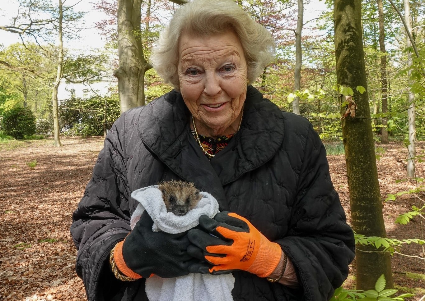 Wil je zien: prinses Beatrix laat egels vrij - Modekoningin Máxima