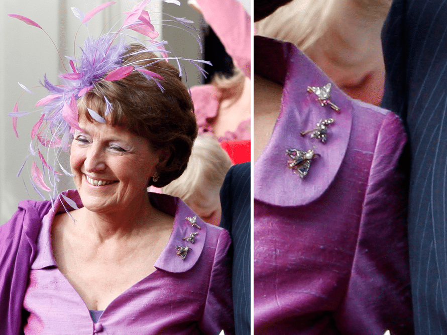 Bzzzzz: wist je dat de Oranjes prachtige vliegenbroches hebben ...